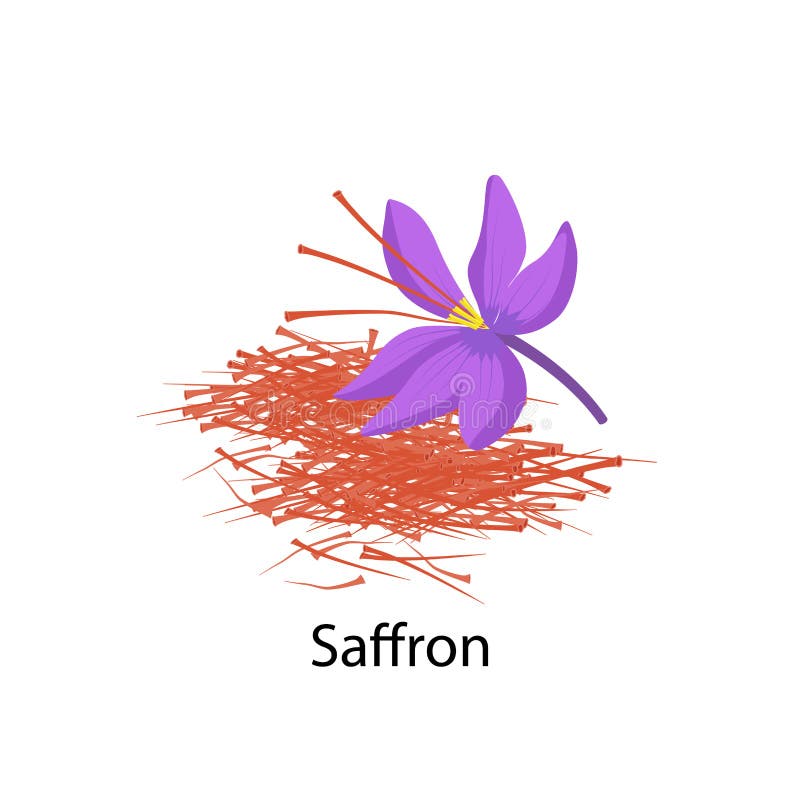 Saffron Threads Stock Illustrations – 30 Saffron Threads Stock ...