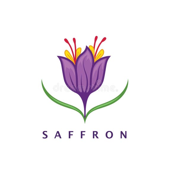 Saffron Flower Vector Logo Icon Element Design Template Stock ...