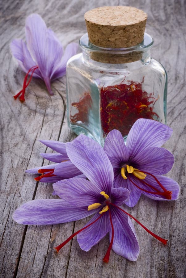 Saffron Flowers (Crocus Sativus) Stock Photo - Image of risotto, stem ...