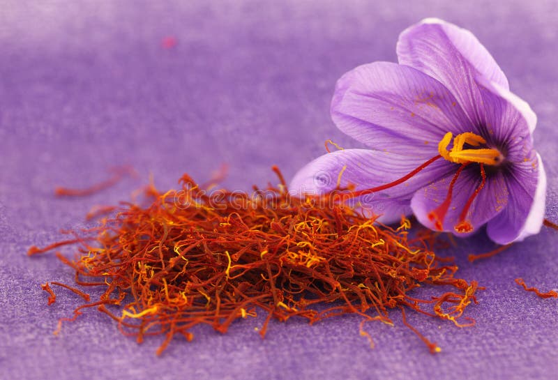 Saffron flowers stock image. Image of crocus, autumn - 34774969