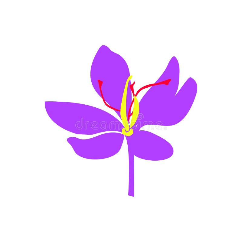 Saffron Icon, Vector Illustration. Stock Vector - Illustration of food ...