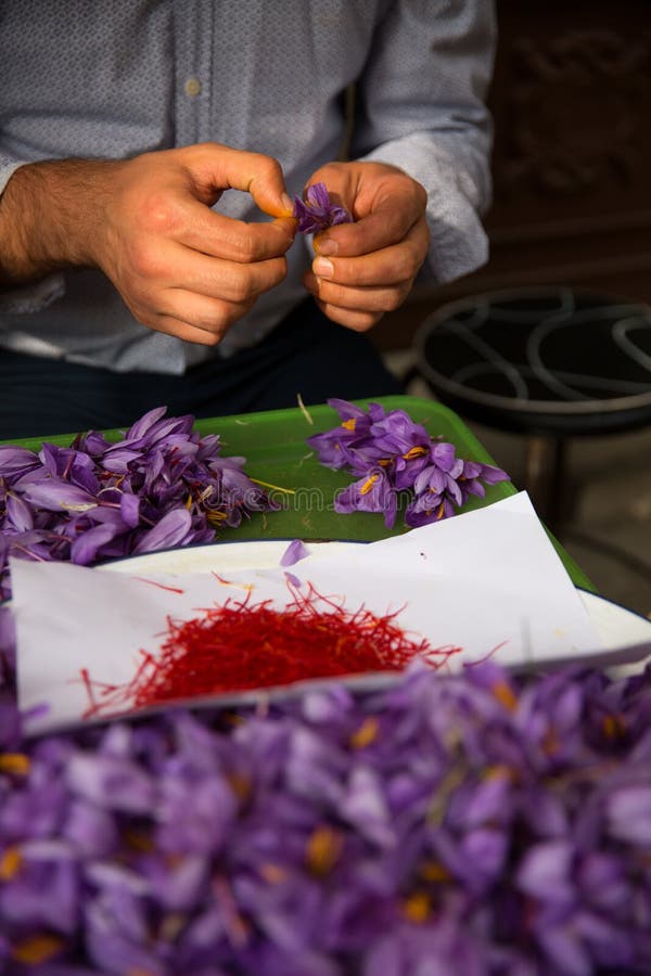 Cinci Hamam stock image. Image of turkish, unesco, safranbolu - 38793293