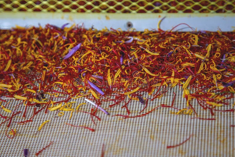 444 Saffron Process Stock Photos - Free & Royalty-Free Stock Photos ...