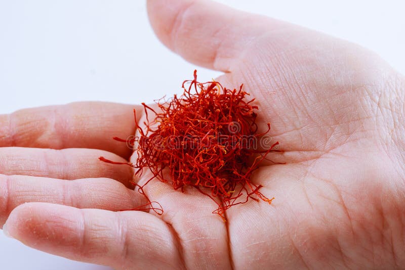 Saffron Threads in a Female Hand. the Most Expensive Spice Stock Image ...