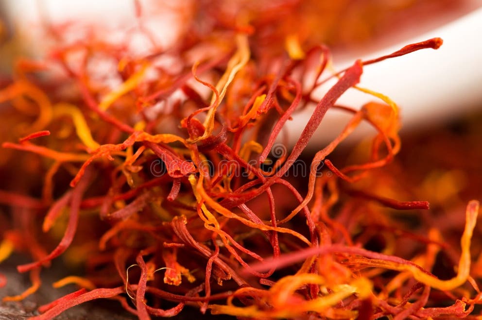 Safran. herbs and spices stock photo. Image of food, detail - 19161562