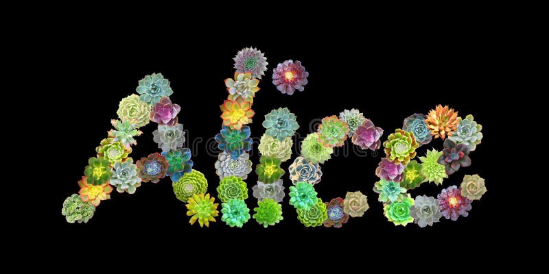 Saftiger Name Alice stock abbildung. Illustration von schätzchen - 85443415