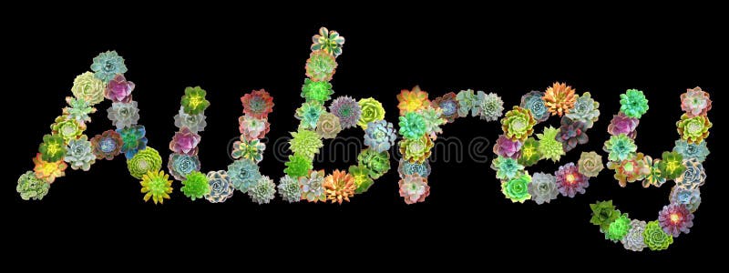 Saftiger Name Aubrey stock abbildung. Illustration von zoll - 85443463