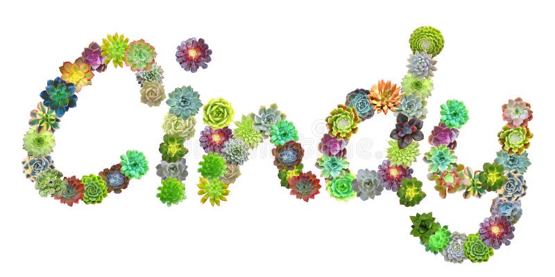 Saftiger Name Cindy stock abbildung. Illustration von zoll - 85444520