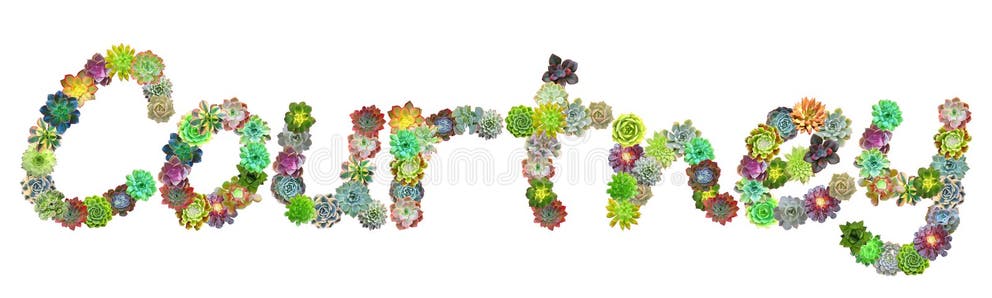 Saftiger Name Courtney stock abbildung. Illustration von abbildung ...