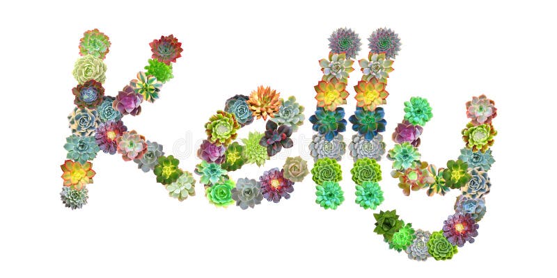 Saftiger Name Kelly stock abbildung. Illustration von bunt - 85445401