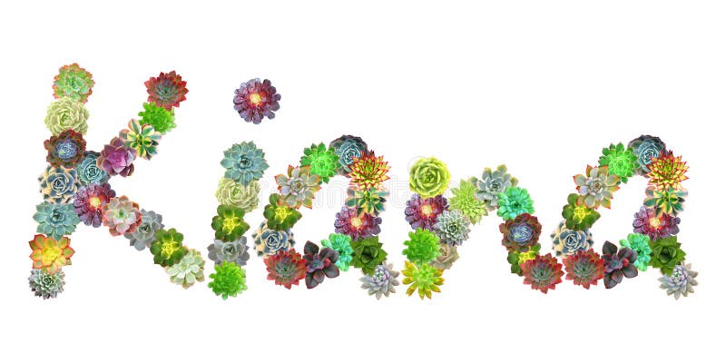 Saftiger Name Kiana stock abbildung. Illustration von alex - 85445445