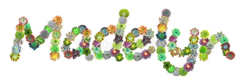 Saftiger Name Madelyn stock abbildung. Illustration von grün - 85445552