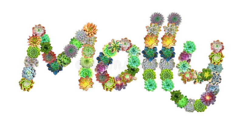 Saftiger Name Molly stock abbildung. Illustration von annie - 85445588