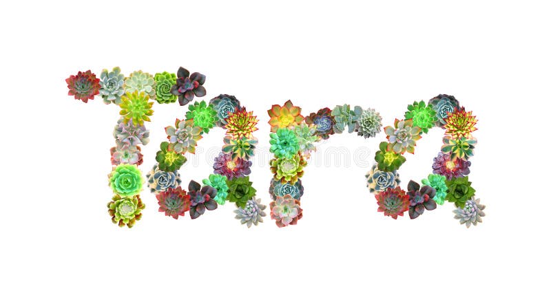 Saftiger Name Tara stock abbildung. Illustration von auslegung - 85446002