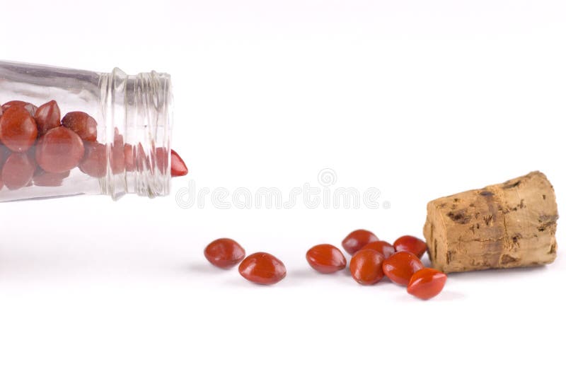 Saga Seed - Bind Our Hearts Stock Image - Image of xiang, isolated ...