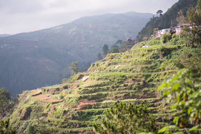 Sagada, Mountain Province, Philippines Stock Photo - Image of beauty ...