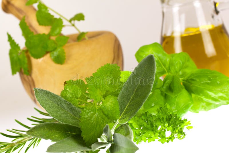 Sage,Basil,Parsley and Mint,isolated on White Stock Photo - Image of ...
