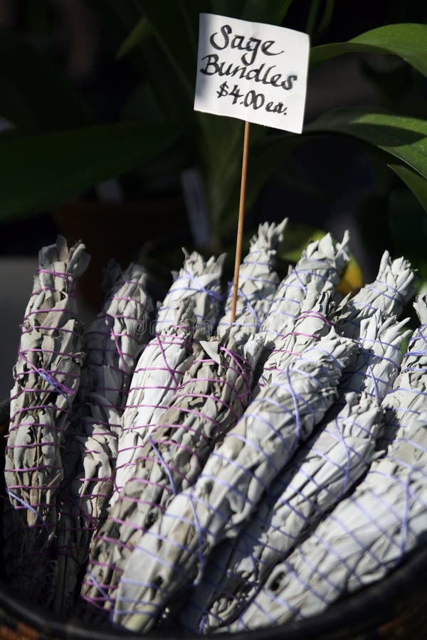 Sage bundles stock image. Image of native, american, pray - 4083877
