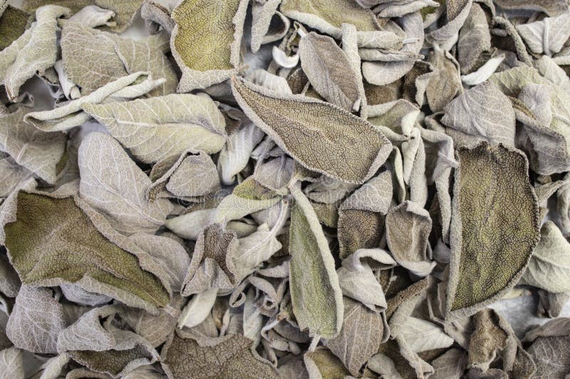 Sage Dried Leaves Background, Abstract Culinary Texture Stock Photo ...