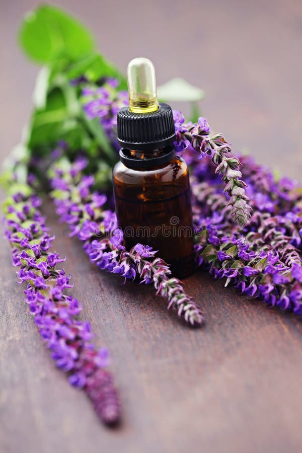 Sage essential oil stock image. Image of scented, treatment - 19804569