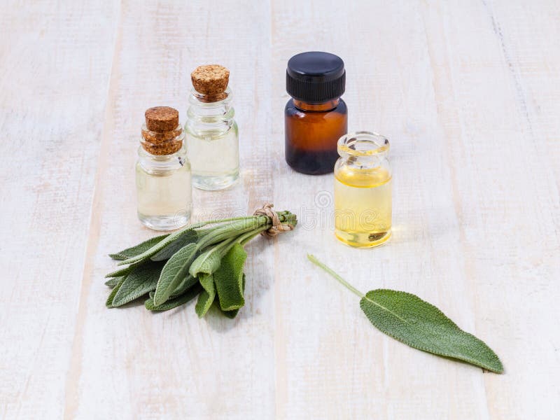 Sage essential oil stock image. Image of scented, treatment - 19804569