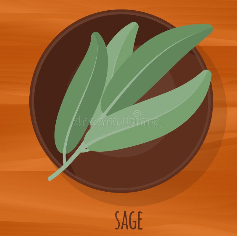 Sage Flat Design Vector Icon. Stock Vector - Illustration of aromatic ...