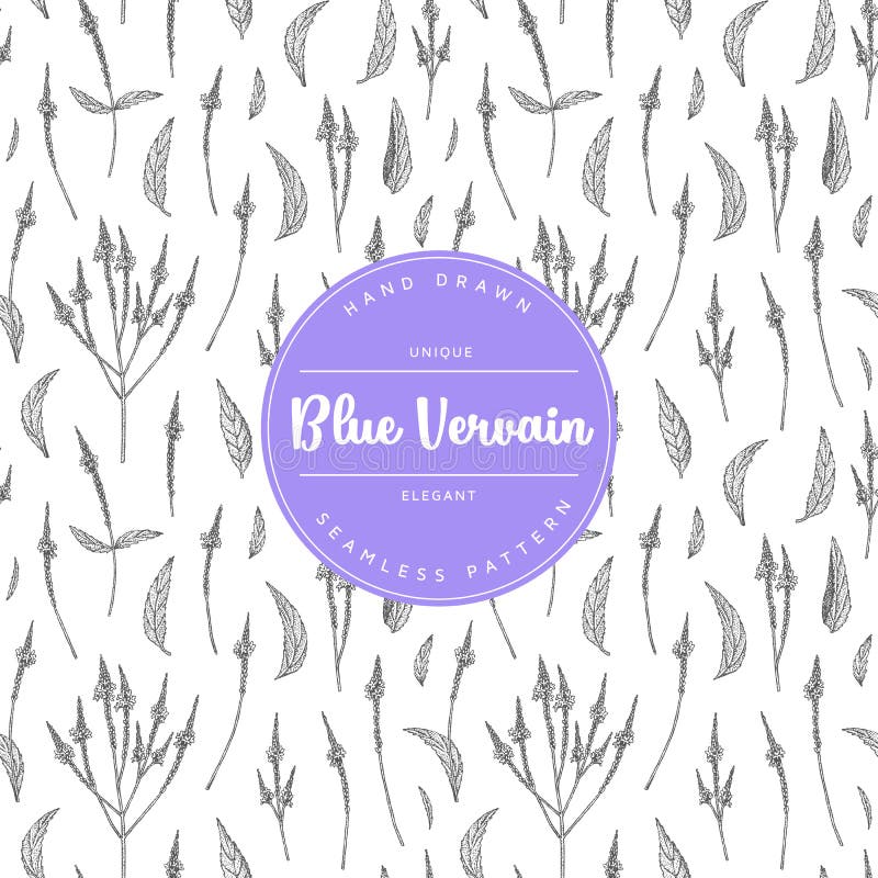 Sage flower pattern. stock vector. Illustration of american - 112602578