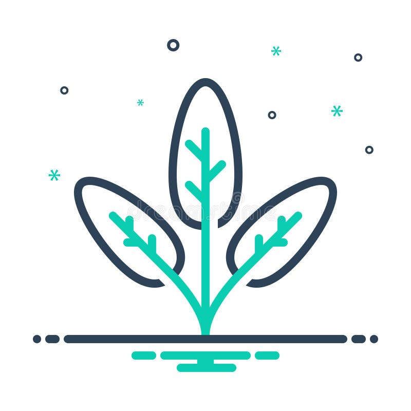 Mix Icon for Sage, Leaf and Vegetables Stock Vector - Illustration of ...
