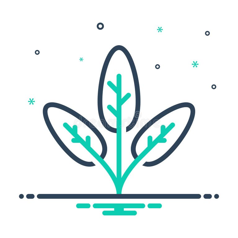Mix Icon for Sage, Leaf and Vegetables Stock Vector - Illustration of ...