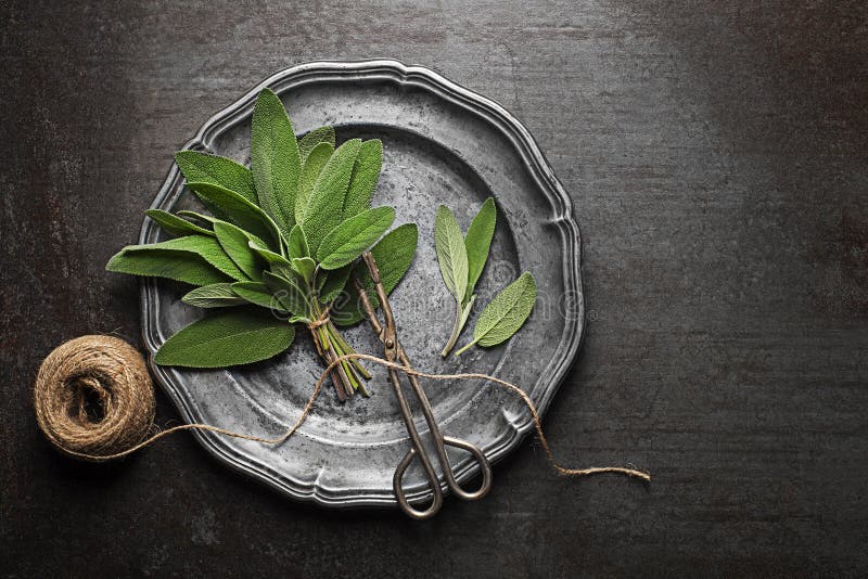 Sage bunch on grey table stock image. Image of herbal - 260940363