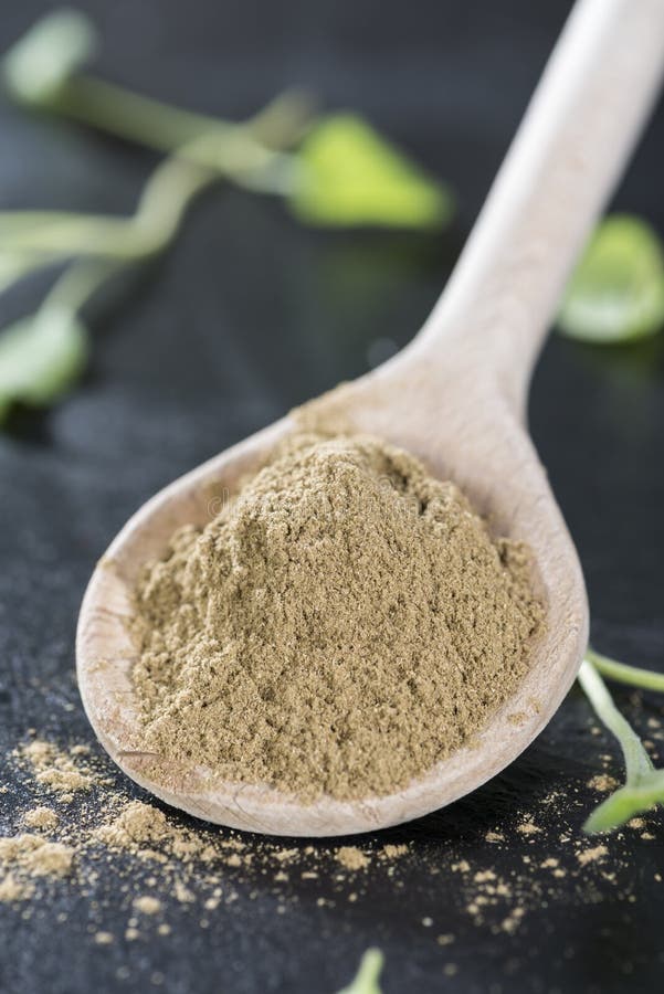 Sage Powder stock photo. Image of salvia, healthy, plant - 38953464