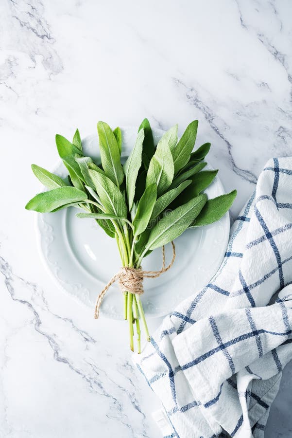 Sage Raw Leaves on the Background Stock Photo - Image of sage ...