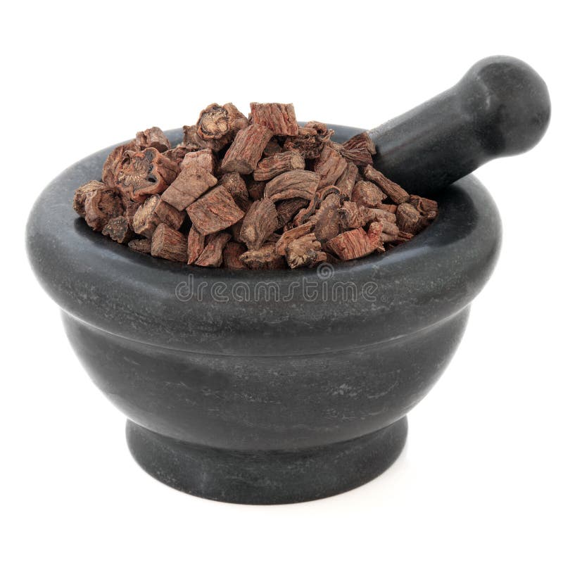Sage Root rojo foto de archivo. Imagen de medicinal - 148588078