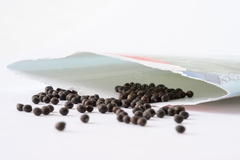 Sage Seeds Spilled from a Seed Packet Stock Image - Image of nature ...