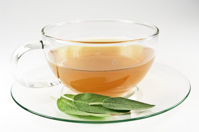 Sage tea stock image. Image of herb, green, winter, white - 16655449