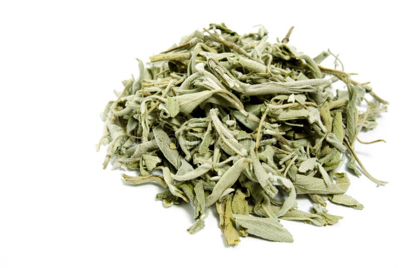 Sage tea stock image. Image of salvia, healthy, sage, herbal - 5953727