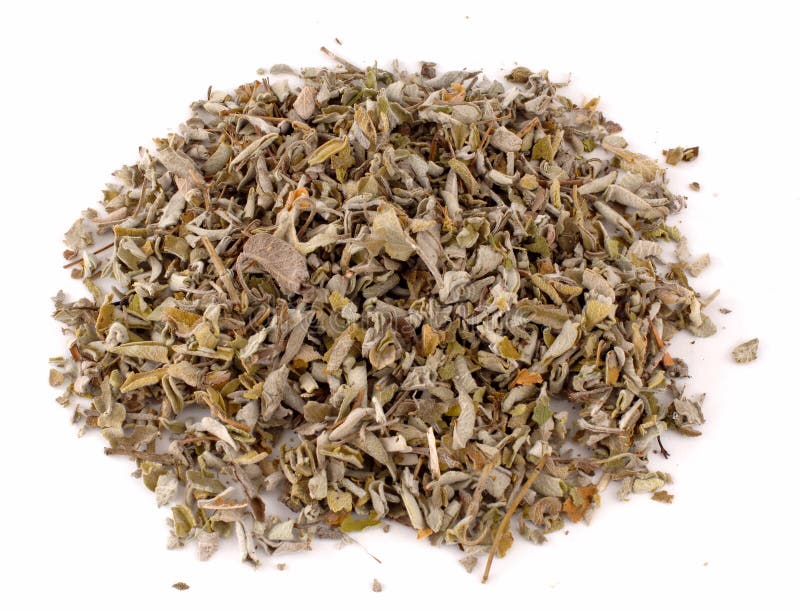 Sage tea stock image. Image of healthy, drink, sage, product - 8396171