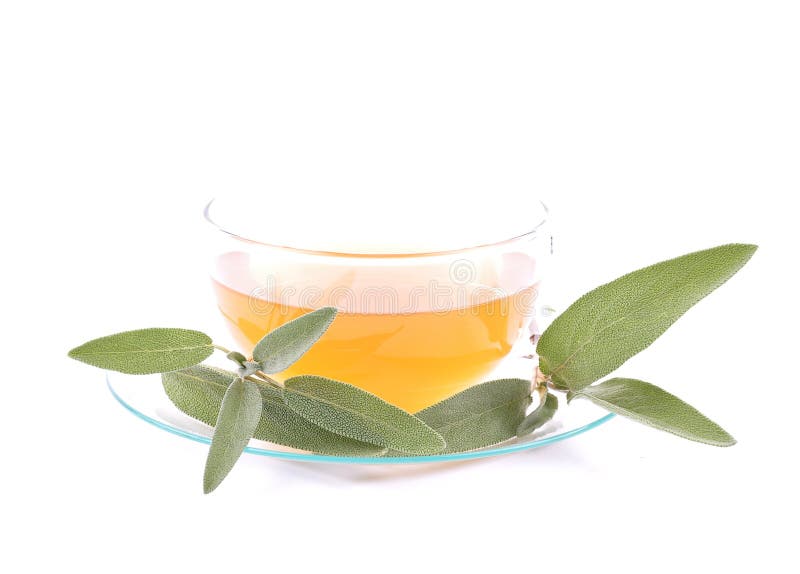 Sage tea stock image. Image of ingredient, clary, herb - 46923179