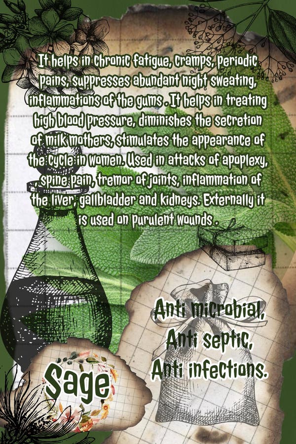 Sage Vintage Herbal Notebook Page Stock Illustration - Illustration of ...
