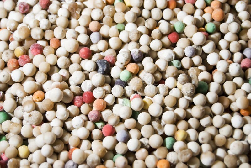 Sago Picture. Image: 5832796