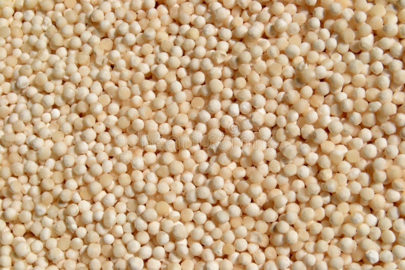 6,836 Sago Stock Photos - Free & Royalty-Free Stock Photos from Dreamstime