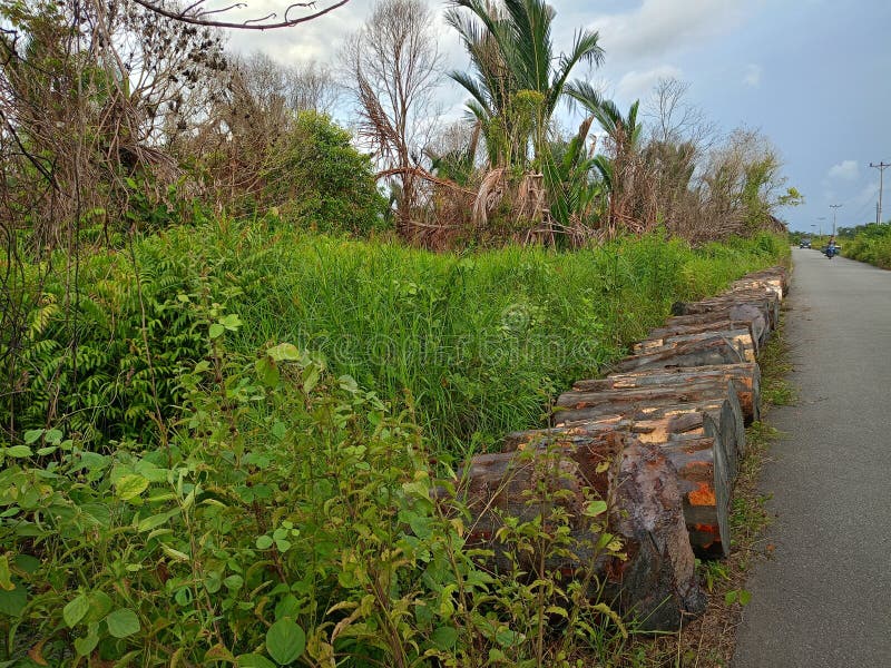 Educational Displacement Stock Photos - Free & Royalty-Free Stock ...