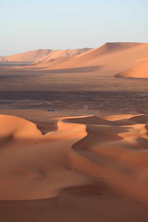 Spring in the Sahara stock photo. Image of desert, sand - 5620532