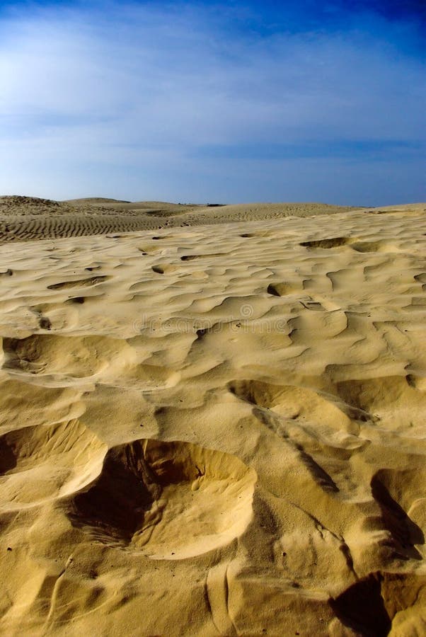 Sahara desert stock photo. Image of sahara, desert, travel - 11458370