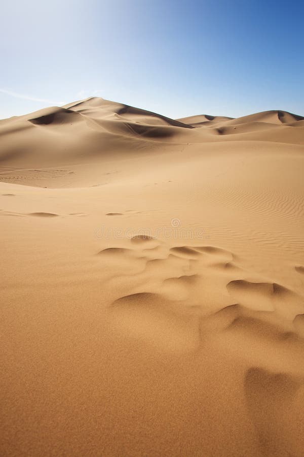 Sahara Desert stock photo. Image of cameleer, emirates - 39115498