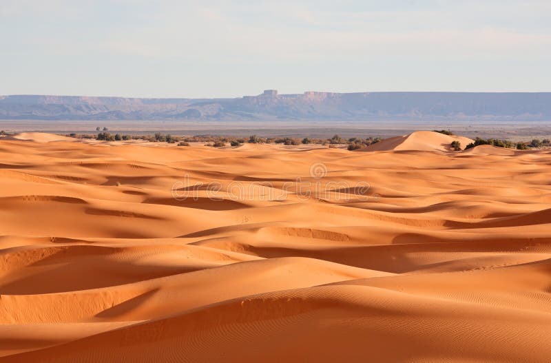 Sahara desert stock photo. Image of sahara, adventure - 7976666
