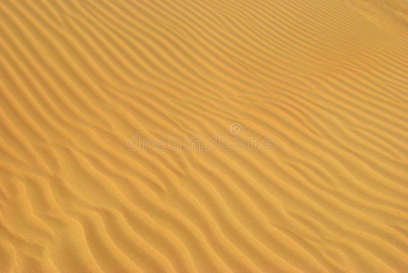 Sahara Desert, Egypt stock photo. Image of brown, desert - 8011076