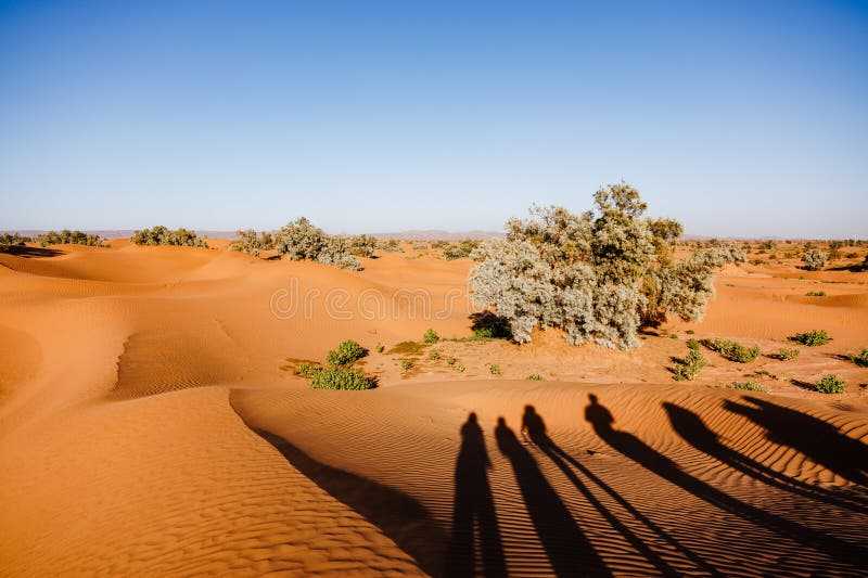 Sahara Desert Landscape, Amazing Experience in Morocco, Shadows of ...