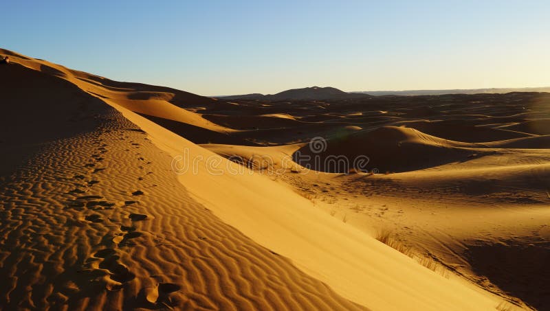 Sahara Desert in Merzga Morocco Stock Image - Image of sands, soil ...