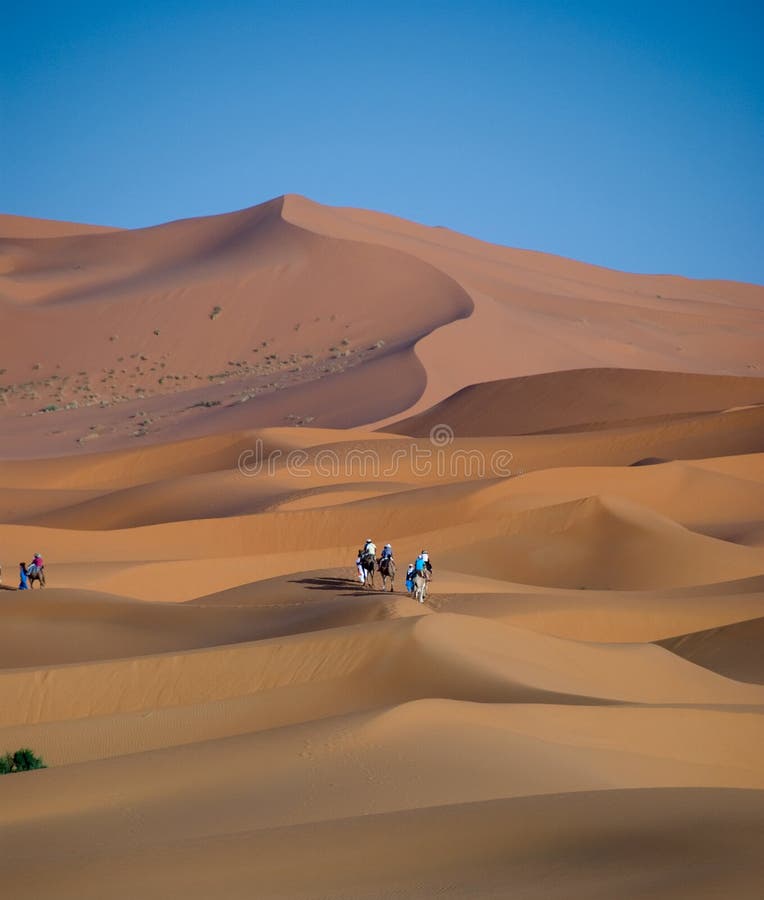 Sahara desert in Morocco stock photo. Image of heat, ripple - 10828924